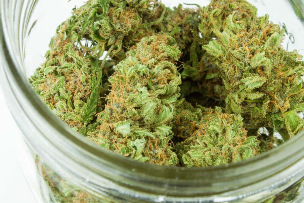 La flor de cáñamo tiene numerosas propiedades óptimas para la salud